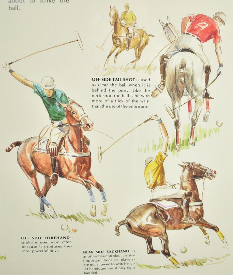 Sam Savitt - Sam Savitt's 'Guide To Polo' circa 1987 Framed Poster by ...
