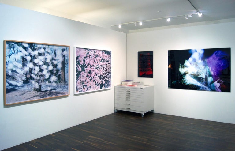 Lieko Shiga - Time Capsule – Lieko Shiga, Crystals, Photography, Purple ...