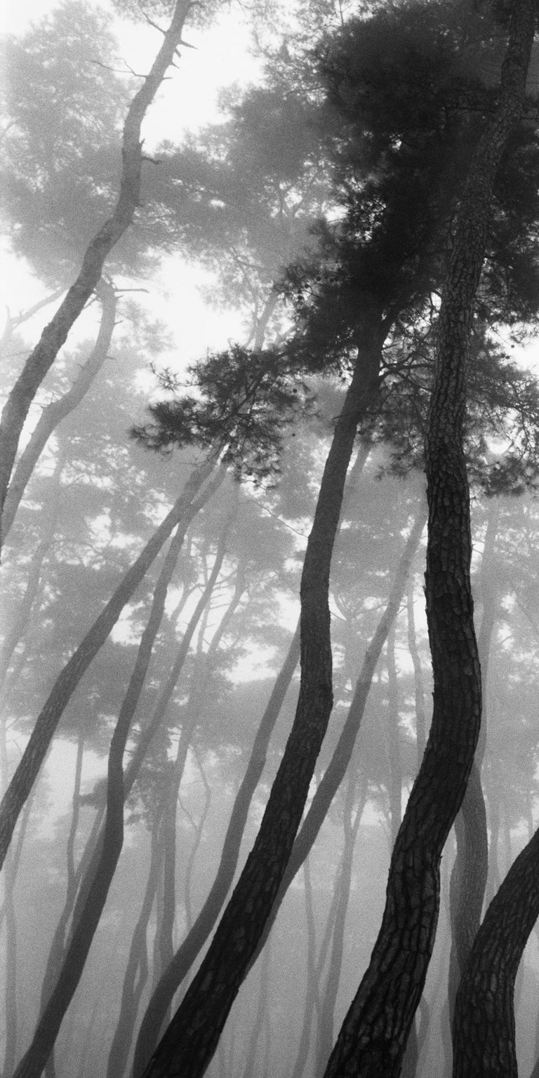 Bae Bien-u - SNM1A-079V – Bien-U BAE, Photography, Landscape, Nature ...