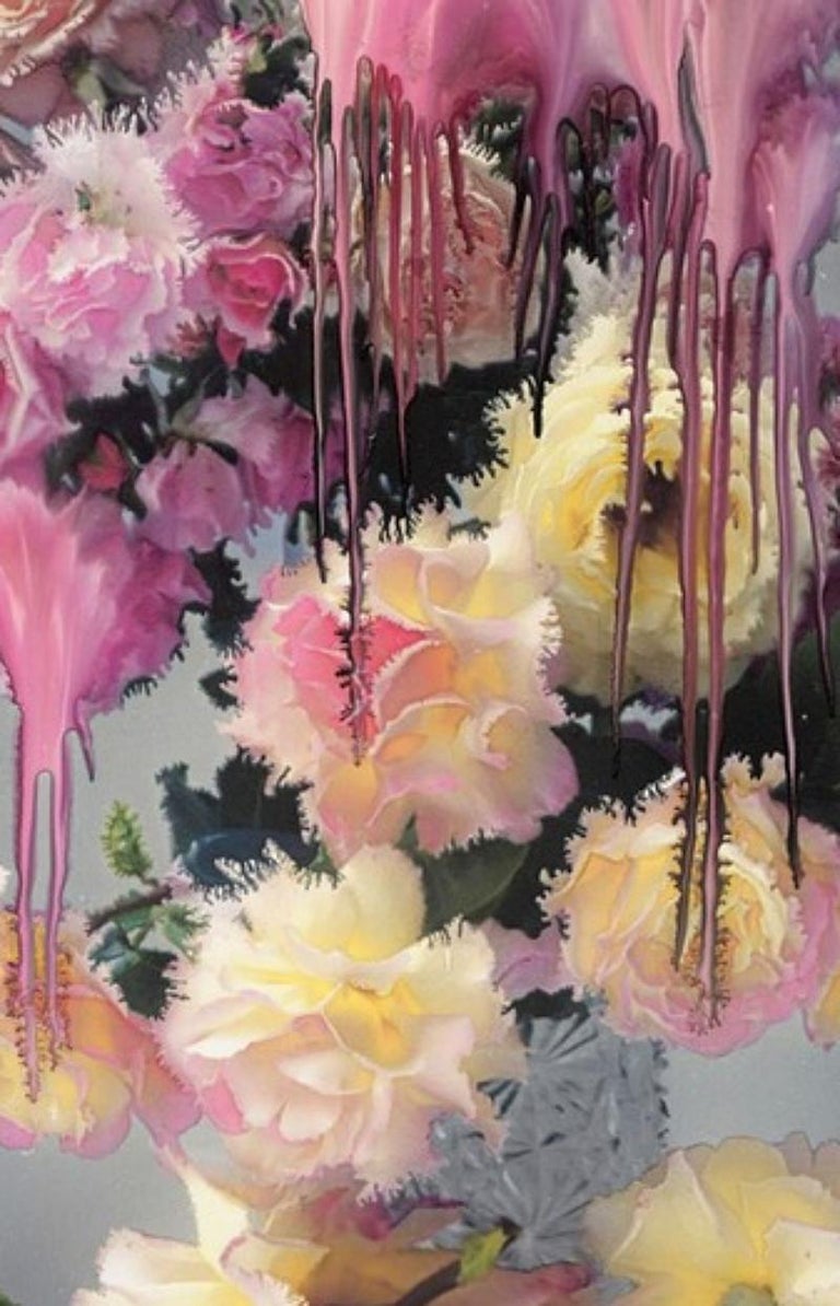 Nick Knight - Rose 1 – Nick Knight, Photography, Pink, Rose, Flower ...