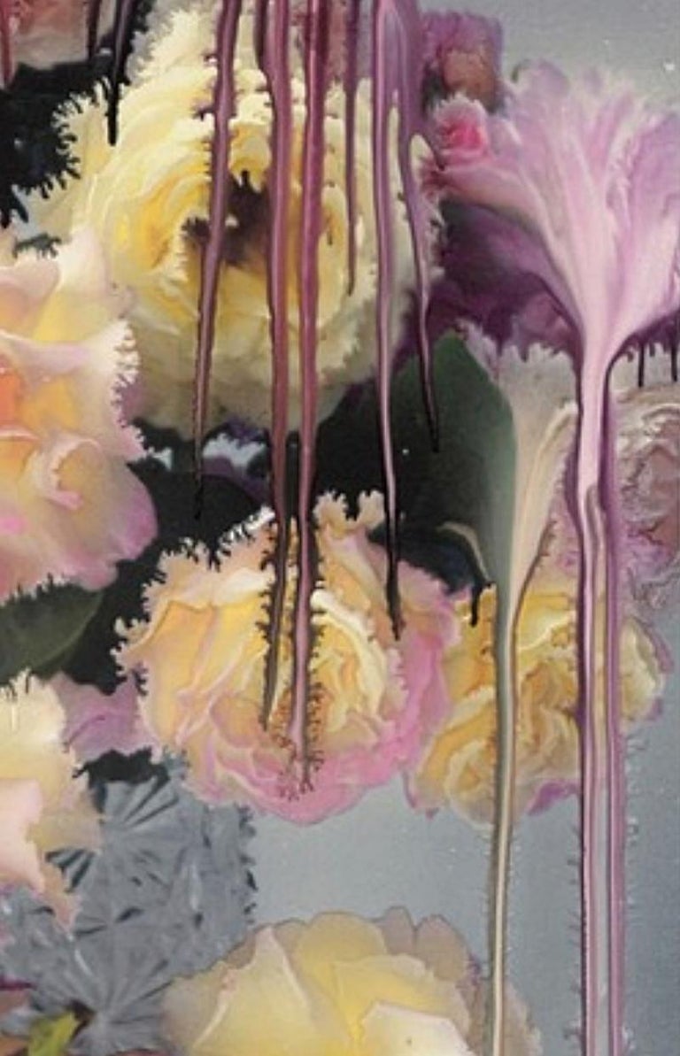 Nick Knight - Rose 1 – Nick Knight, Photography, Pink, Rose, Flower ...