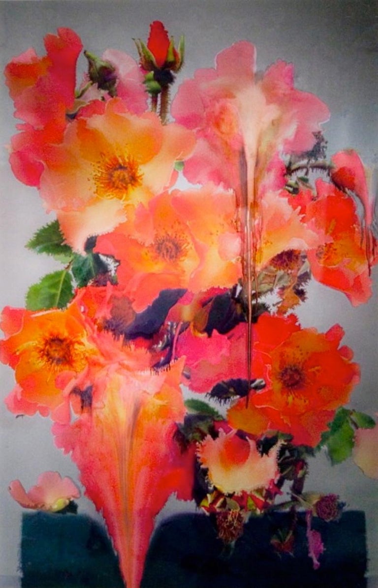 Nick Knight - Rose VIII – Nick Knight, Photography, Pink, Rose, Flower ...