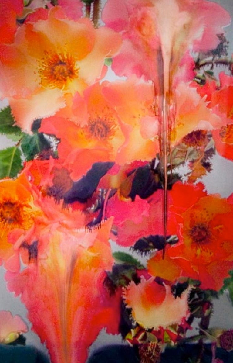 Nick Knight - Rose VIII – Nick Knight, Photography, Pink, Rose, Flower ...