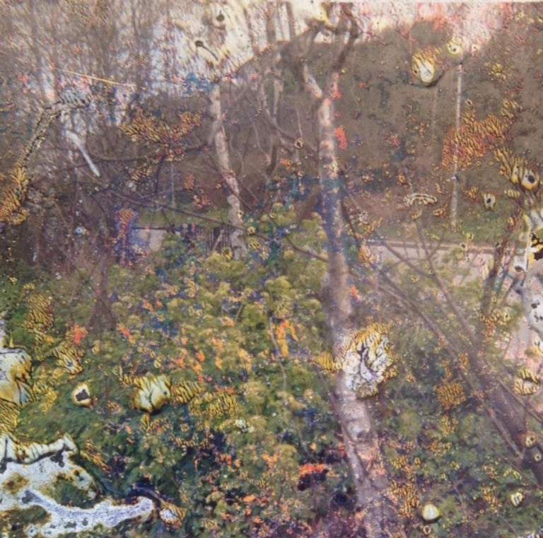 Stephen Gill - Untitled, from the series 'Buried'– Stephen Gill, Colour ...