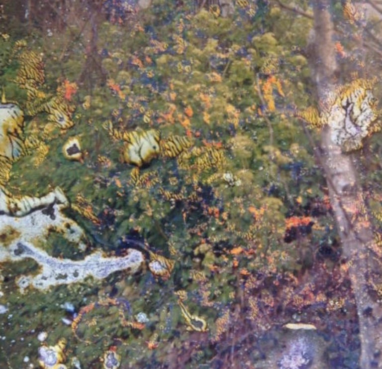 Stephen Gill - Untitled, from the series 'Buried'– Stephen Gill, Colour ...