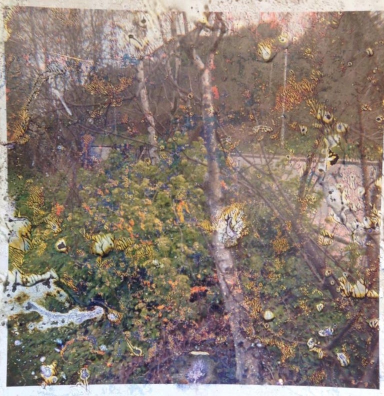 Stephen Gill - Untitled, from the series 'Buried'– Stephen Gill, Colour ...