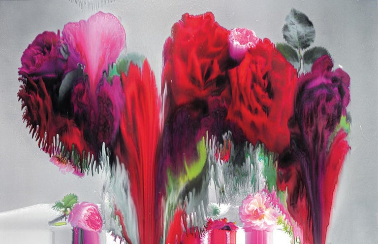 Nick Knight - Rose VII – Nick Knight, Photography, Pink, Rose, Flower ...