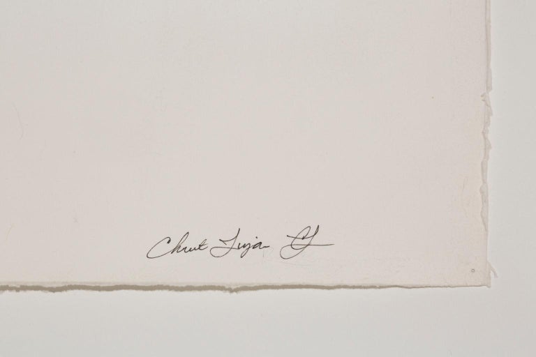 Chris Lujan - "Beauty", Large Mixed Medium, India Ink and Coffee ...