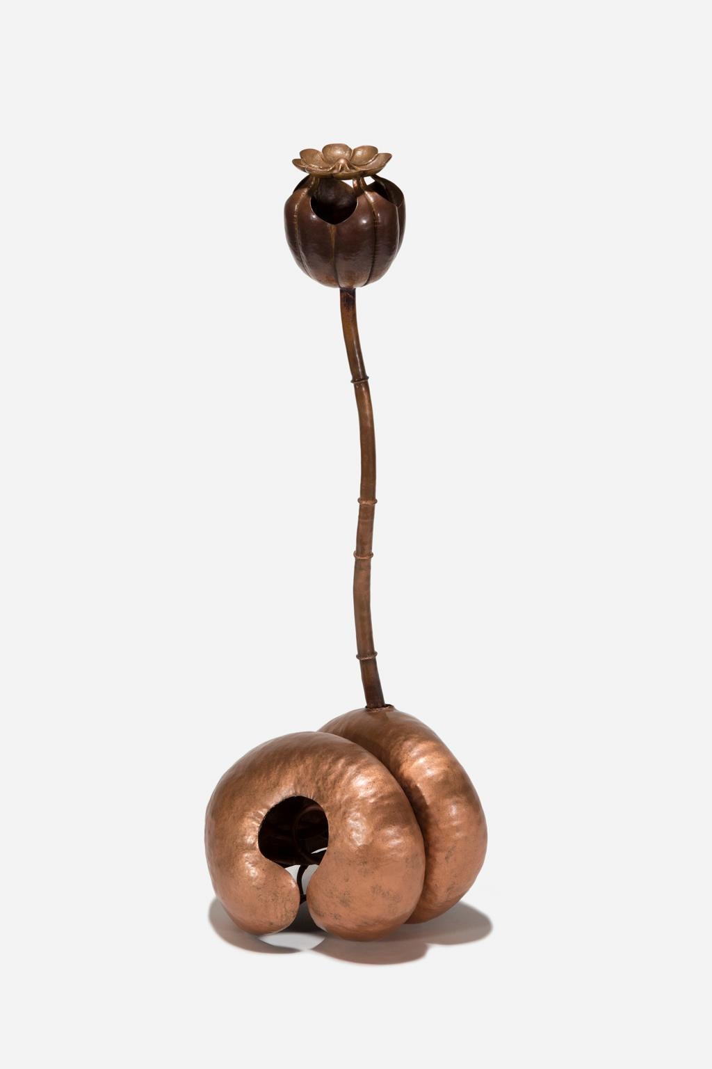 Kai Wolter - "Cephalic" Hammered Copper, Organic Shape, Naturalistic at ...