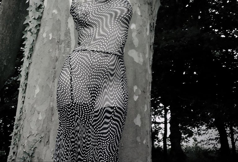 Geoff Halpin - Tree - Signed limited edition archival pigment print ...