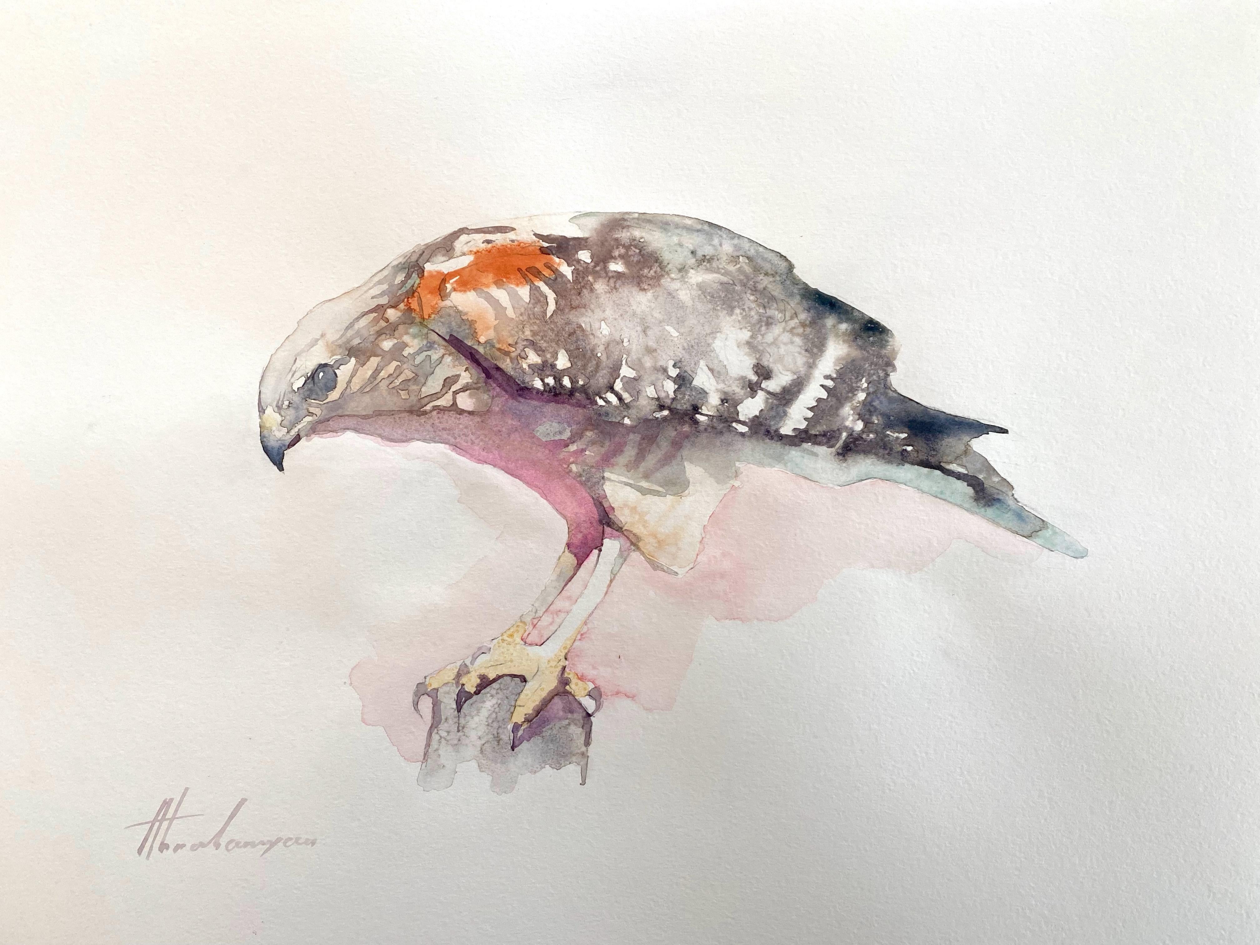 Artyom Abrahamyan - Sparrow hawk, Watercolor Handmade Painting For Sale ...
