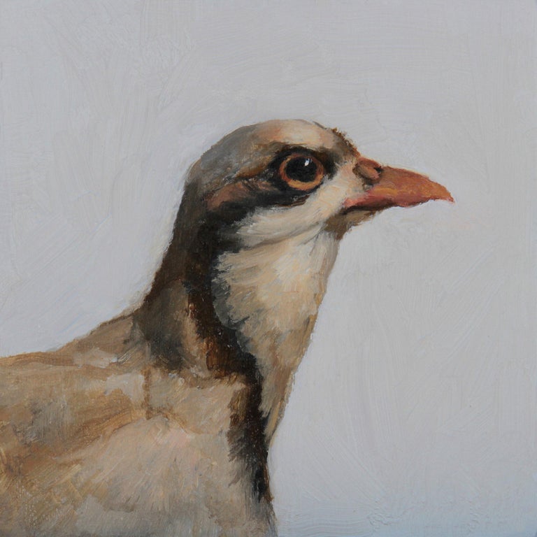 Linda Tracey Brandon - "Chukar Partridge," Oil Painting at 1stDibs