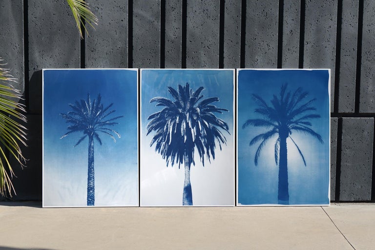 Kind of Cyan - Triptych, Desert Palm Trio, Multipanel Cyanotype on ...