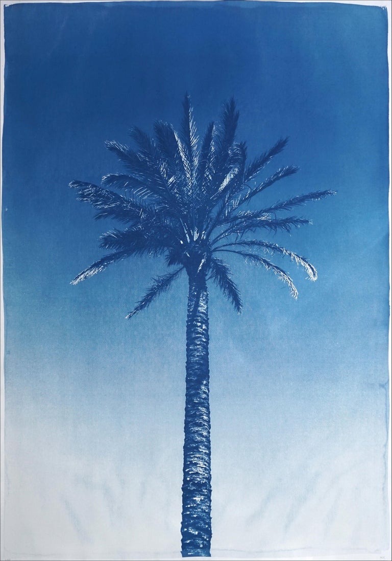 Kind of Cyan - Triptych, Desert Palm Trio, Multipanel Cyanotype on ...