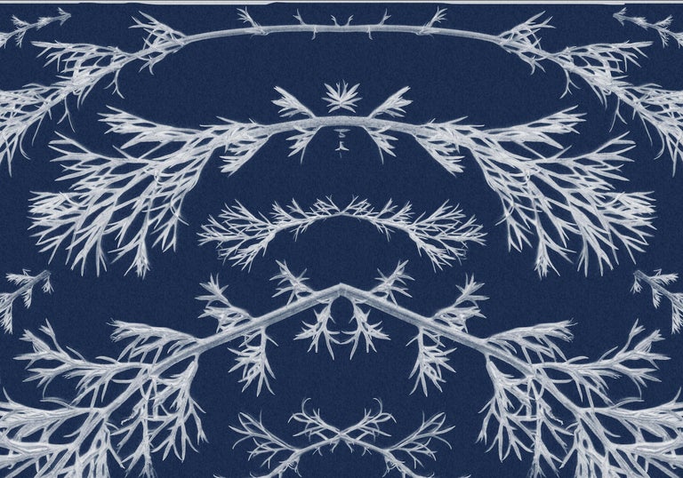 Kind of Cyan - Vintage Pressed Flowers, Botanical Cyanotype on ...