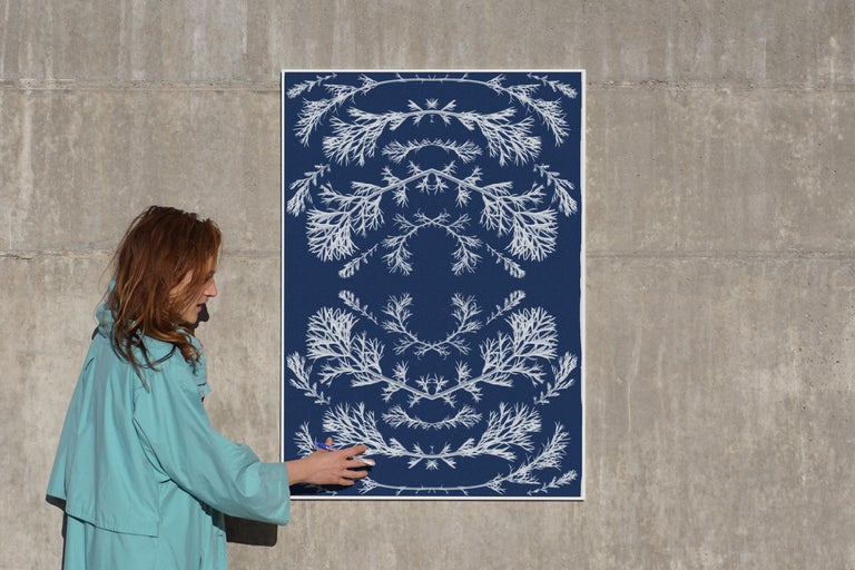 Kind of Cyan - Vintage Pressed Flowers, Botanical Cyanotype on ...