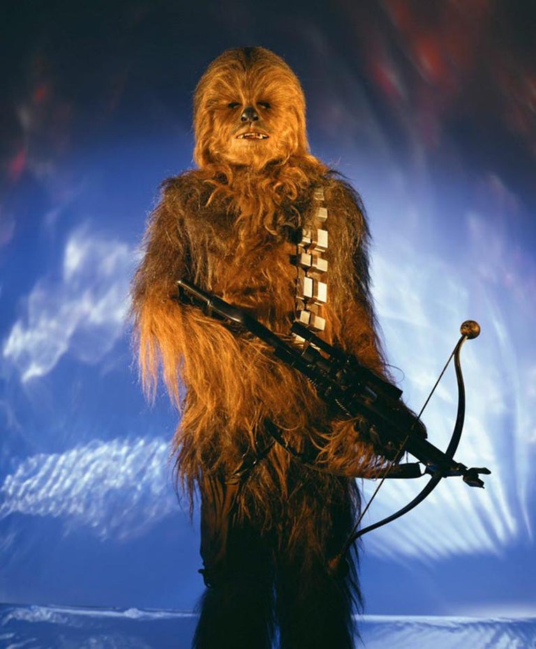 Brian Griffin - Chewbacca - Star Wars: Return of the Jedi (Limited ...