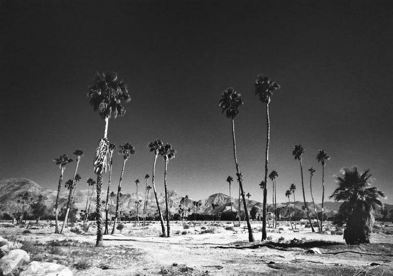 Michael Doster - Plam Springs, 2018 Analog Photography, Landscape ...