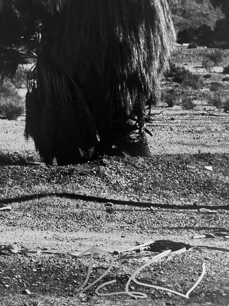 Michael Doster - Plam Springs, 2018 Analog Photography, Landscape ...