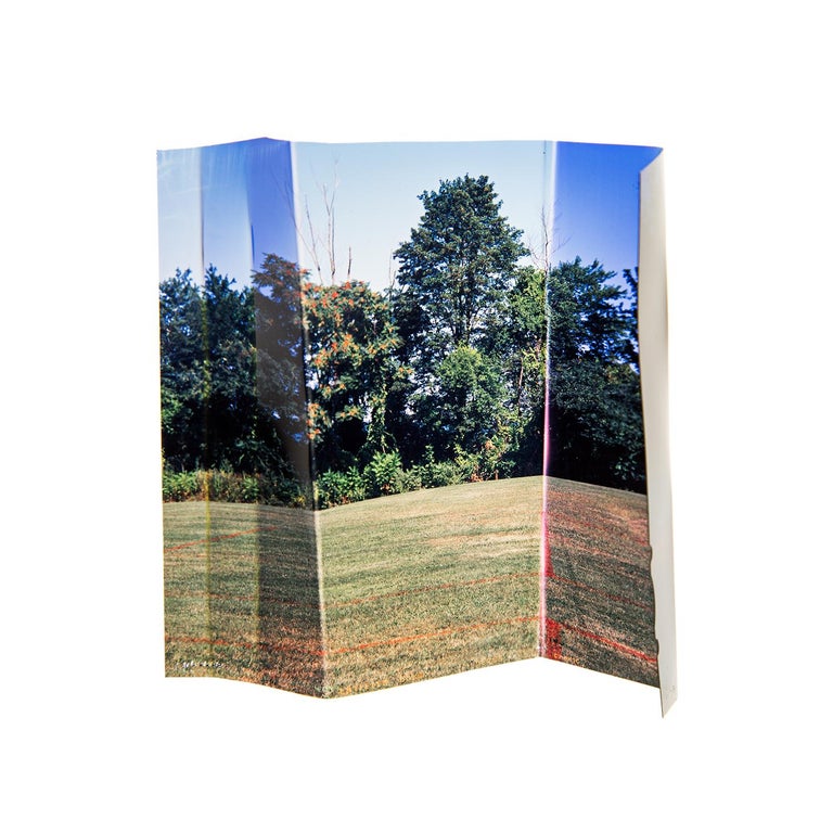 Colleen Fitzgerald - Land and Sea VII (C) For Sale at 1stDibs