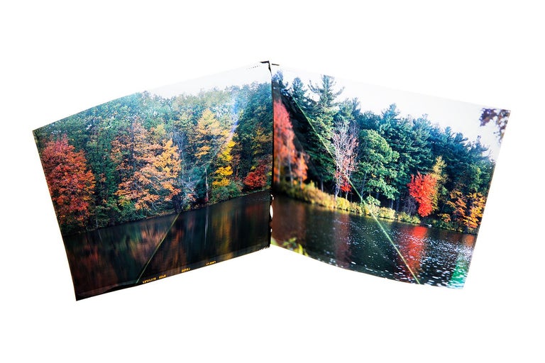 Colleen Fitzgerald - Land and Sea VIII (C) For Sale at 1stDibs