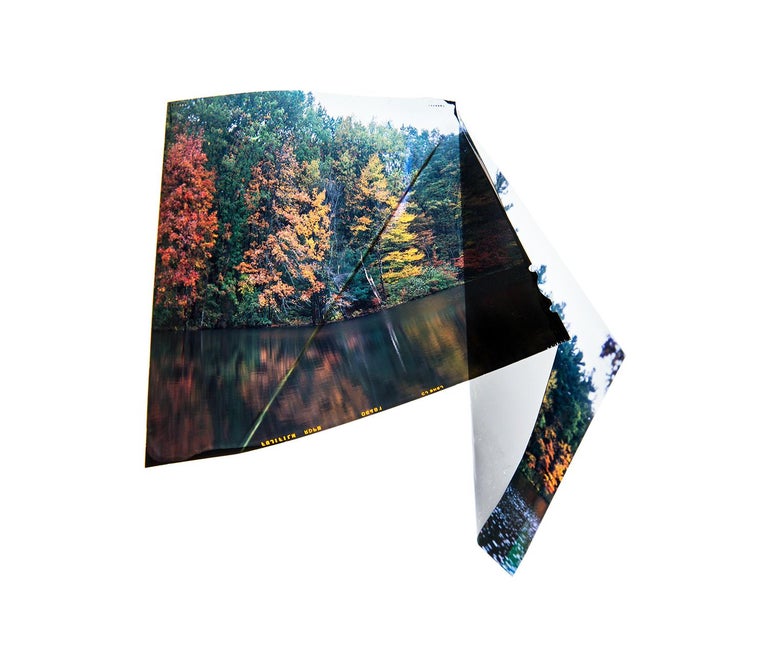 Colleen Fitzgerald - Land and Sea VIII (A) For Sale at 1stDibs