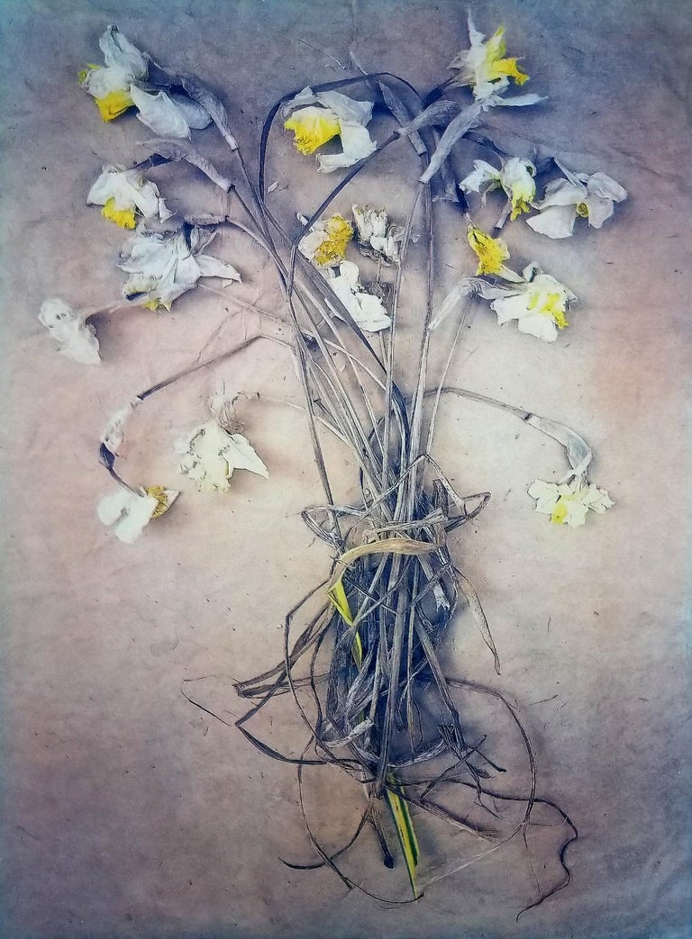 Diana Bloomfield - Daffodils For Sale at 1stDibs