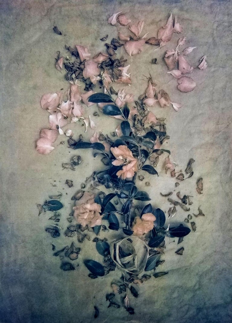 Diana Bloomfield - Drifting Peonies For Sale at 1stDibs