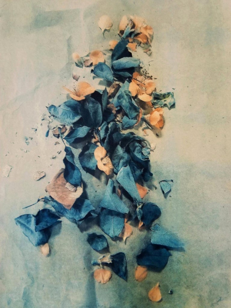 Diana Bloomfield - Pieces of March For Sale at 1stDibs