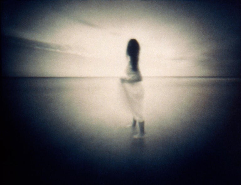 Diana Bloomfield - Horizon For Sale at 1stDibs