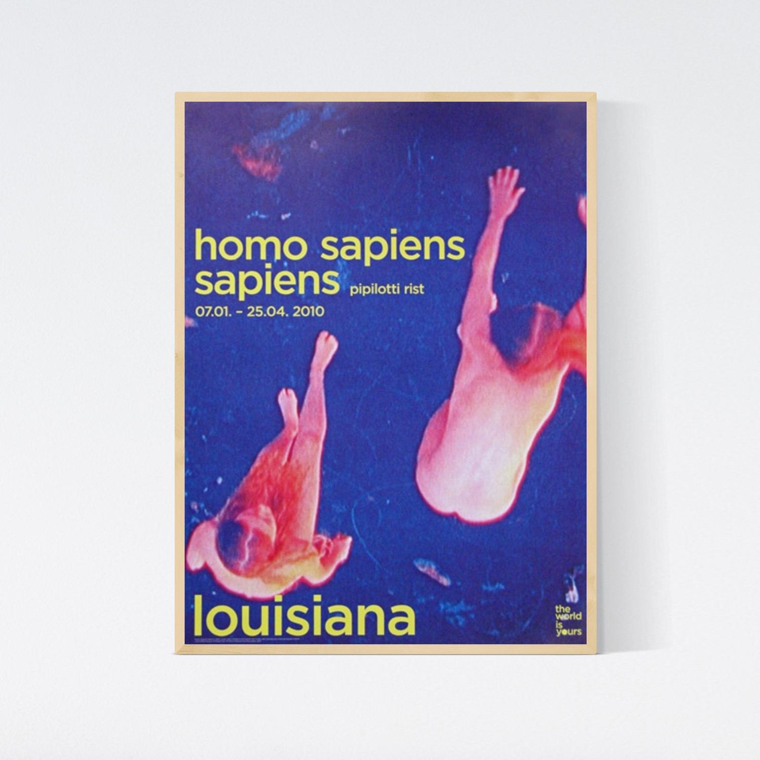 (after) Pipilotti Rist - ''Homo Sapiens Sapiens'' Large Museum Poster ...