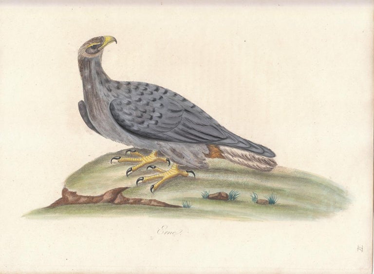 William Hayes - The Erne For Sale at 1stDibs