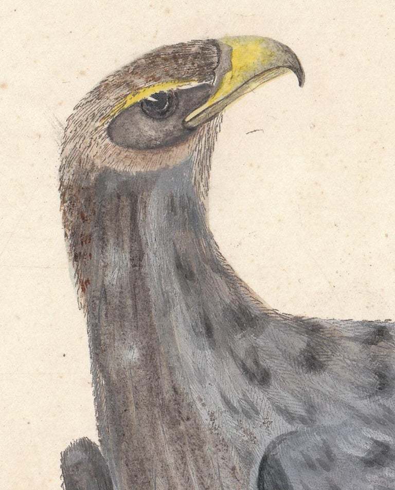 William Hayes - The Erne For Sale at 1stDibs