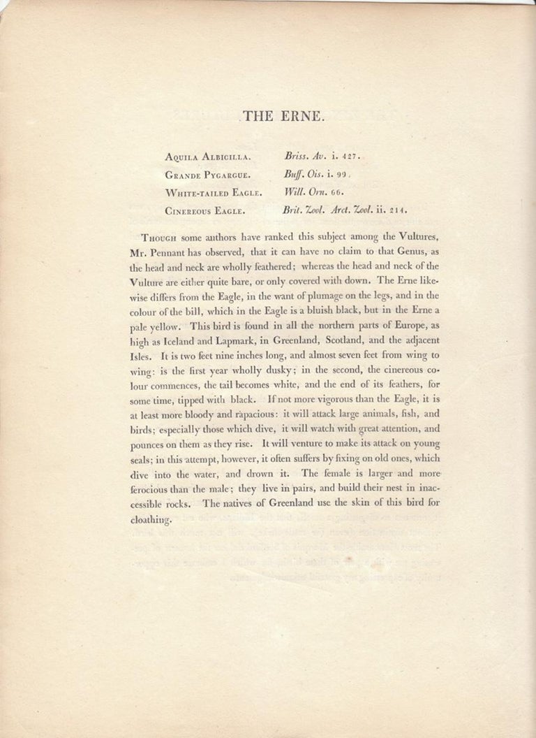 William Hayes - The Erne For Sale at 1stDibs