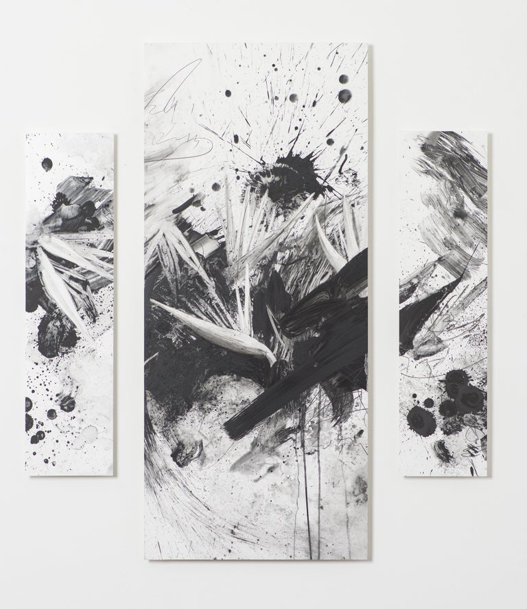 Jessica Palomo - Paradisaeidae Series at 1stDibs