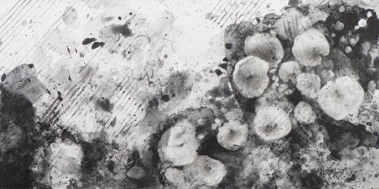 Jessica Palomo - Marchantia Polymorpha For Sale at 1stDibs