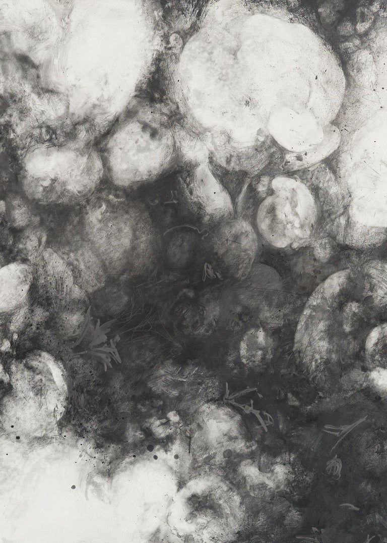 Jessica Palomo - Orchidaceas III For Sale at 1stDibs