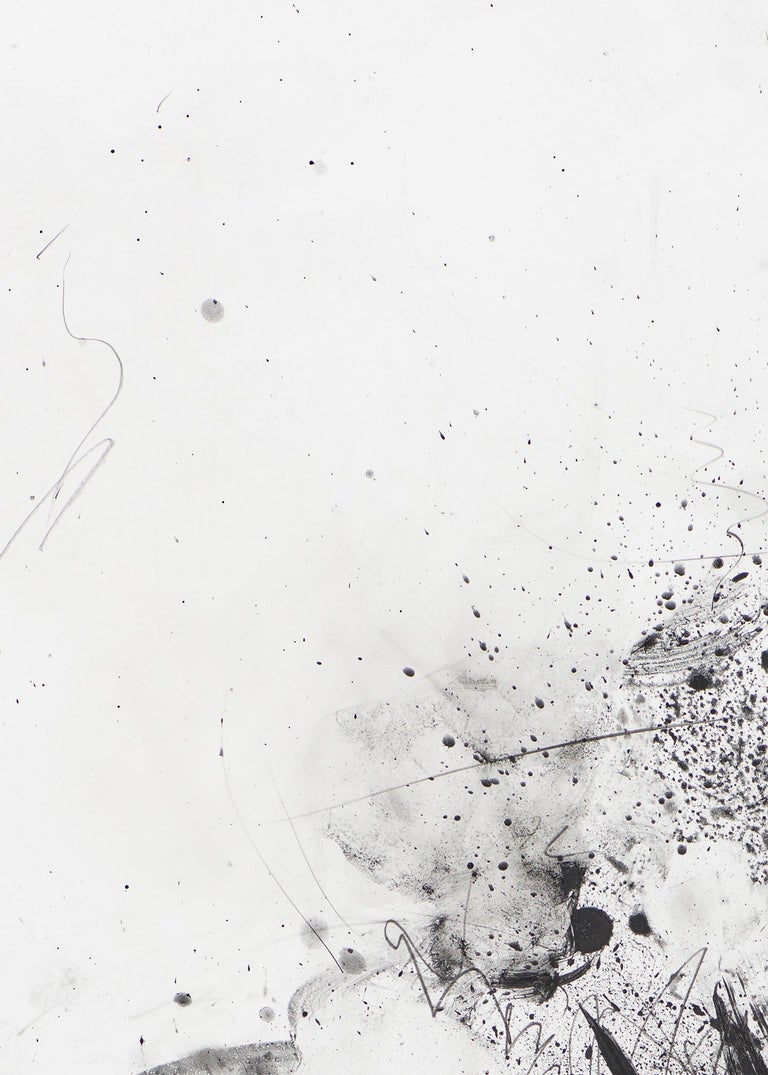 Jessica Palomo - Paradisaeidae Tulipas 2 at 1stDibs