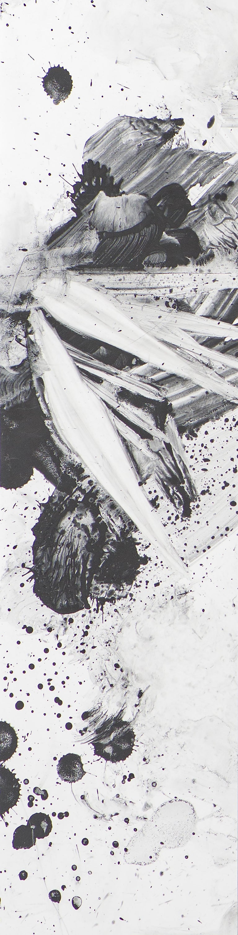 Jessica Palomo - Paradisaeidae Series at 1stDibs
