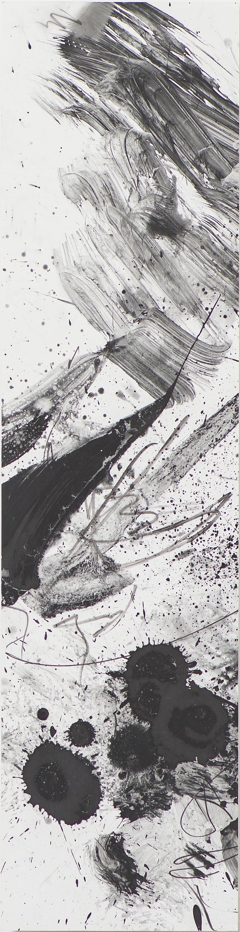 Jessica Palomo - Paradisaeidae Series at 1stDibs