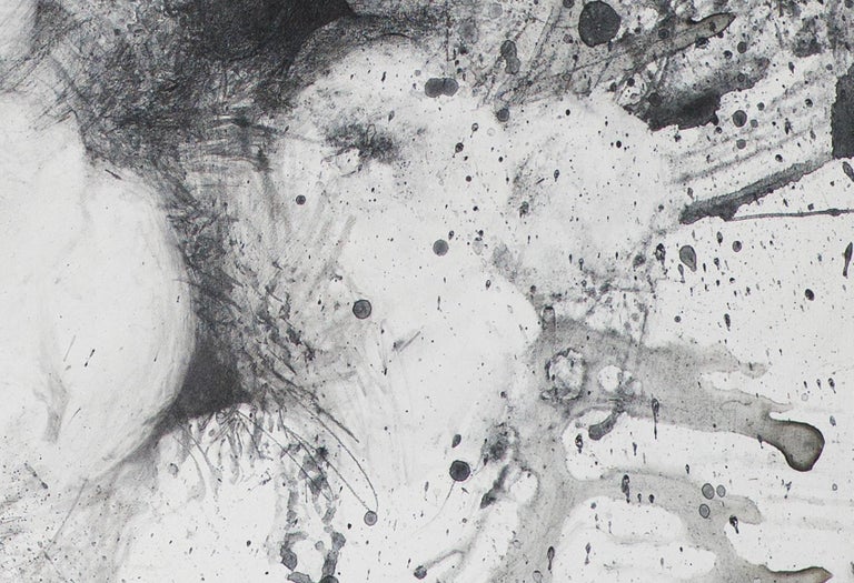 Jessica Palomo - Brunia Asteraceas For Sale at 1stDibs