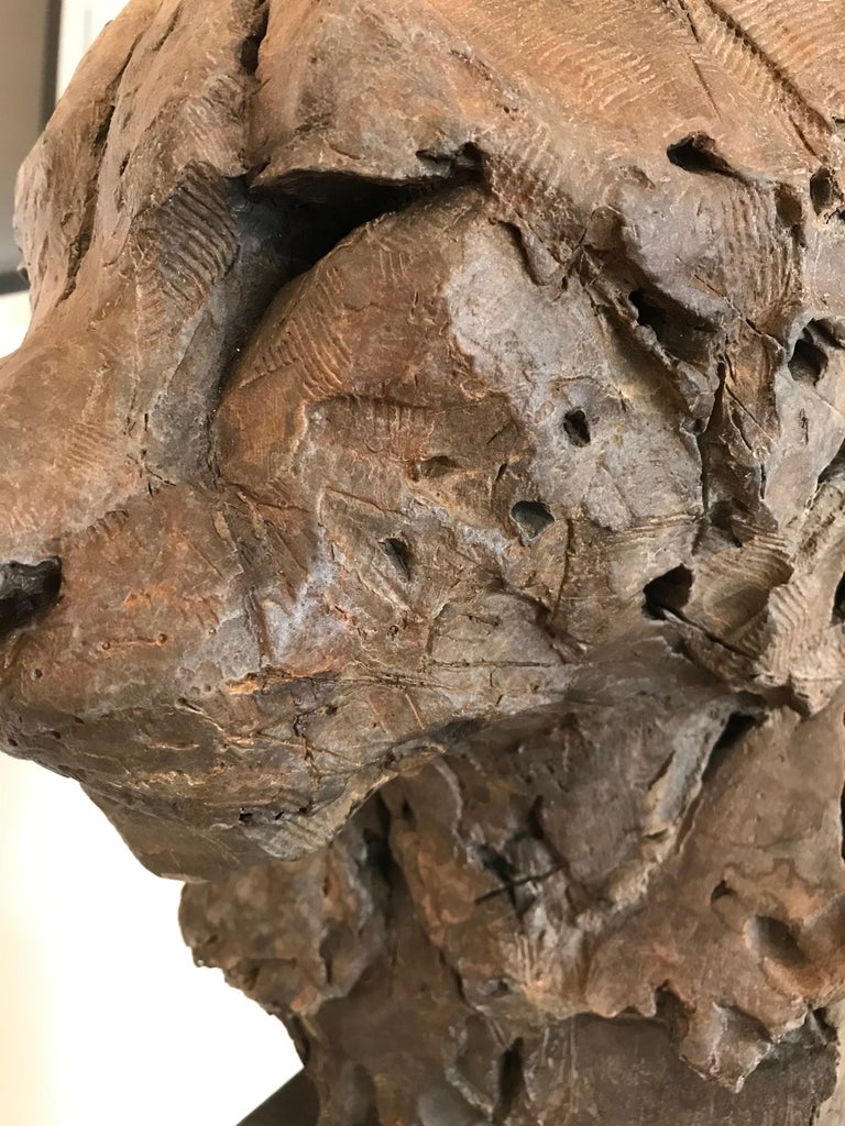 Nichola Theakston - ''Felid'', Contemporary Bronze Sculpture Portrait of a Brown Feline For Sale ...