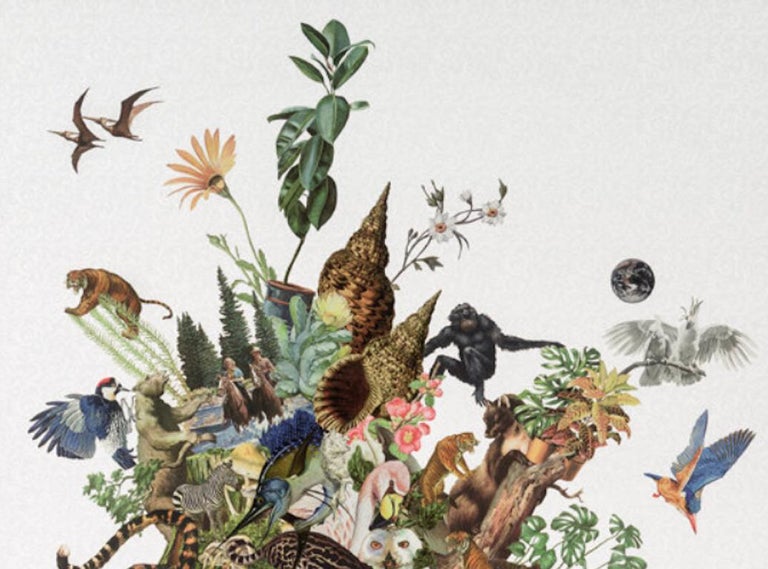 Maria Rivans - ''''Violet'''' Limited edition print of surrealistic ...