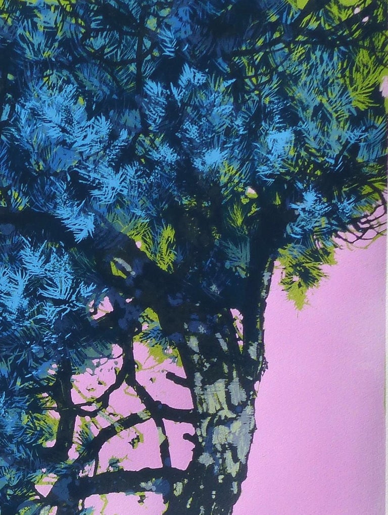 Henrik Simonsen - “Pine” Limited Edition Color Print of Nature, A ...