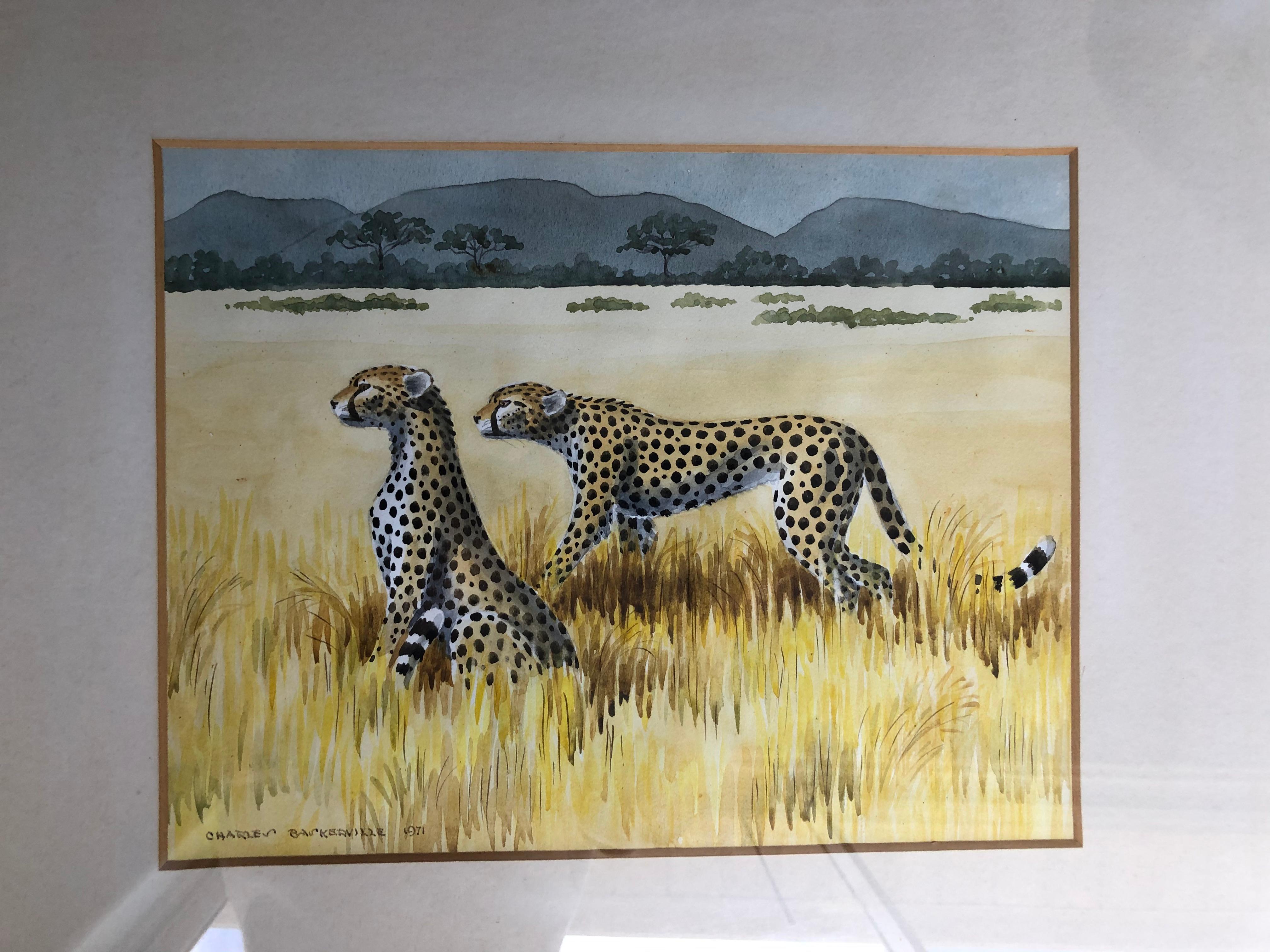 Charles Baskerville Jr. - Charles Baskerville Jr. Cheetahs Stalking For ...