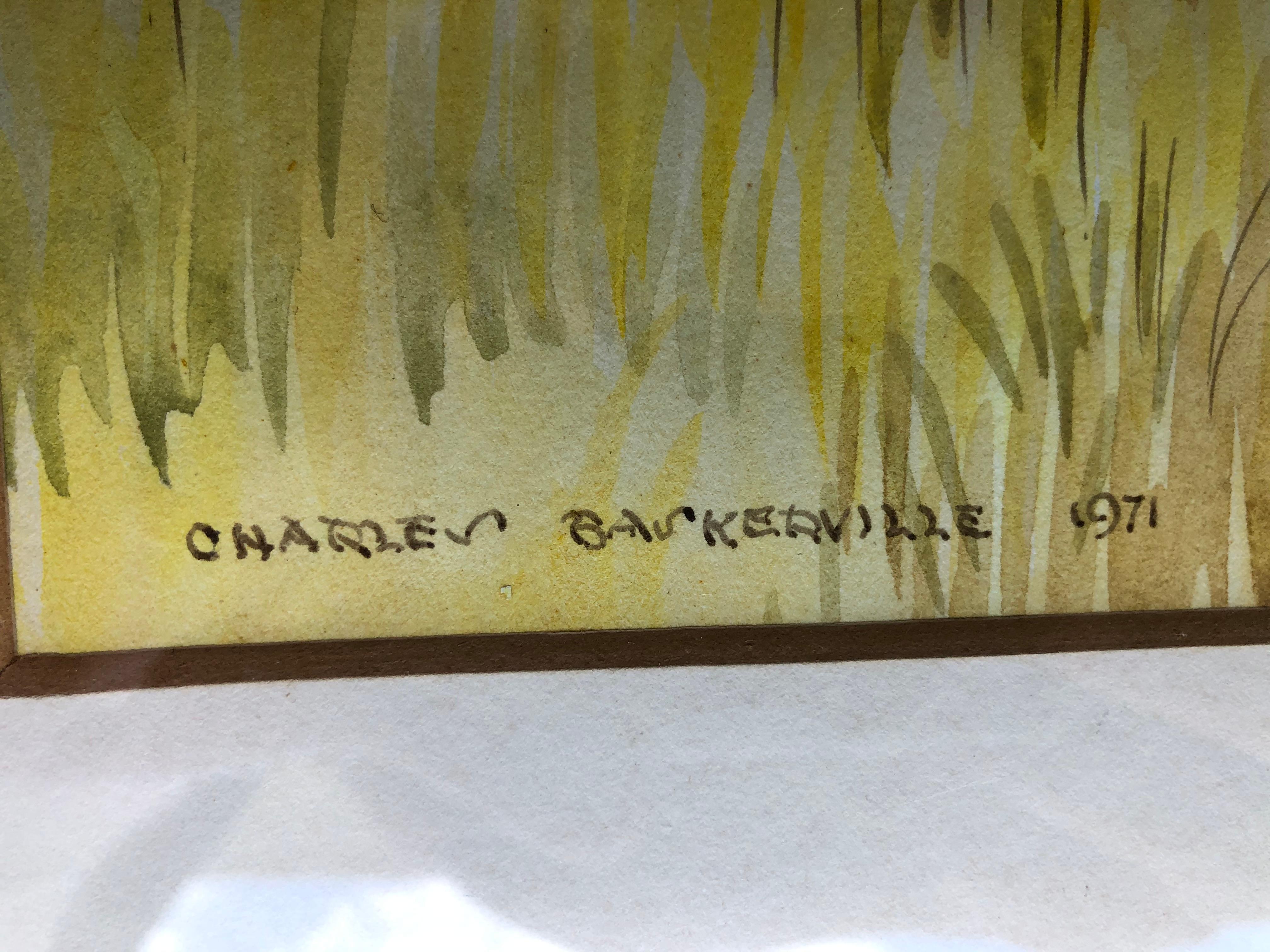 Charles Baskerville Jr. - Charles Baskerville Jr. Cheetahs Stalking For ...