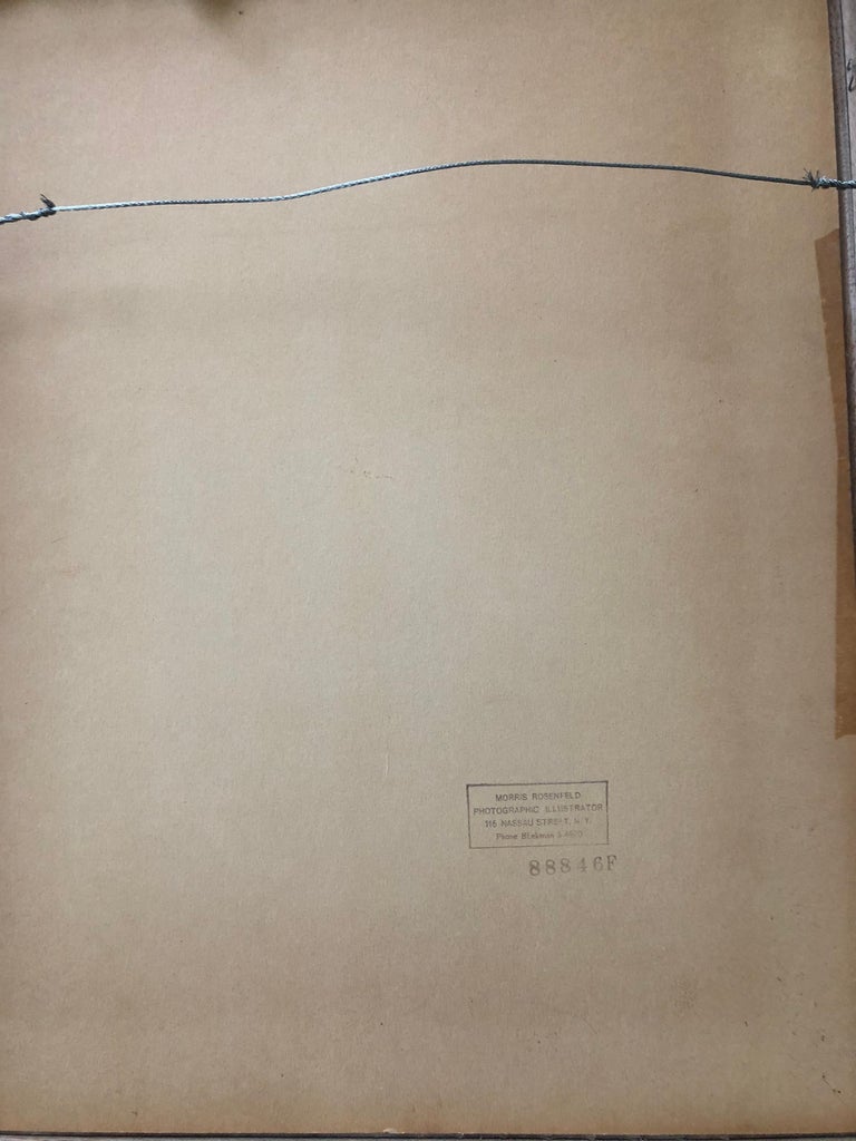 Morris Rosenfeld - Morris Rosenfeld "Venturer" Original Photograph For ...