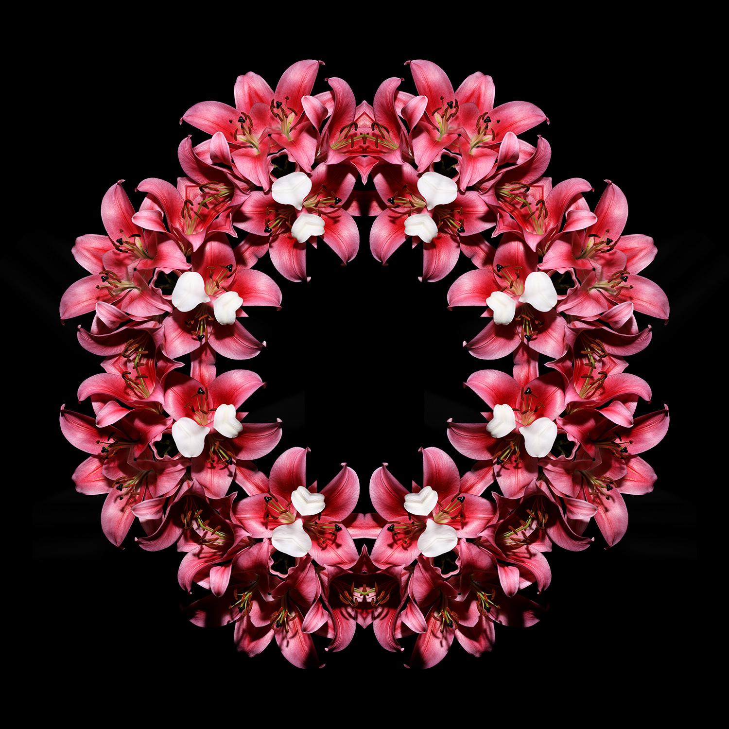 Adrian Marden - Pills- Contemporary Eco Pop art, digital print on paper ...