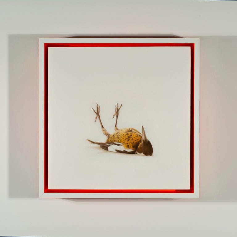 Francisco Souto - Dazed For Sale at 1stDibs