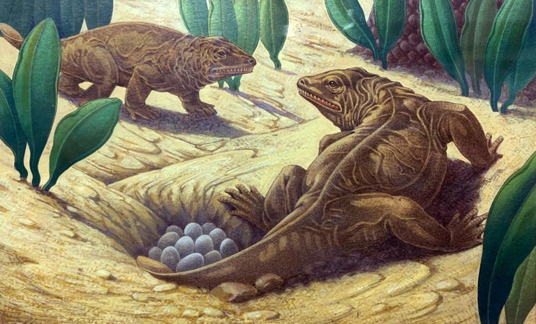 Rudolf Freund - Reptiles, 1950's, Mixed Media on Paper, Painted for ...